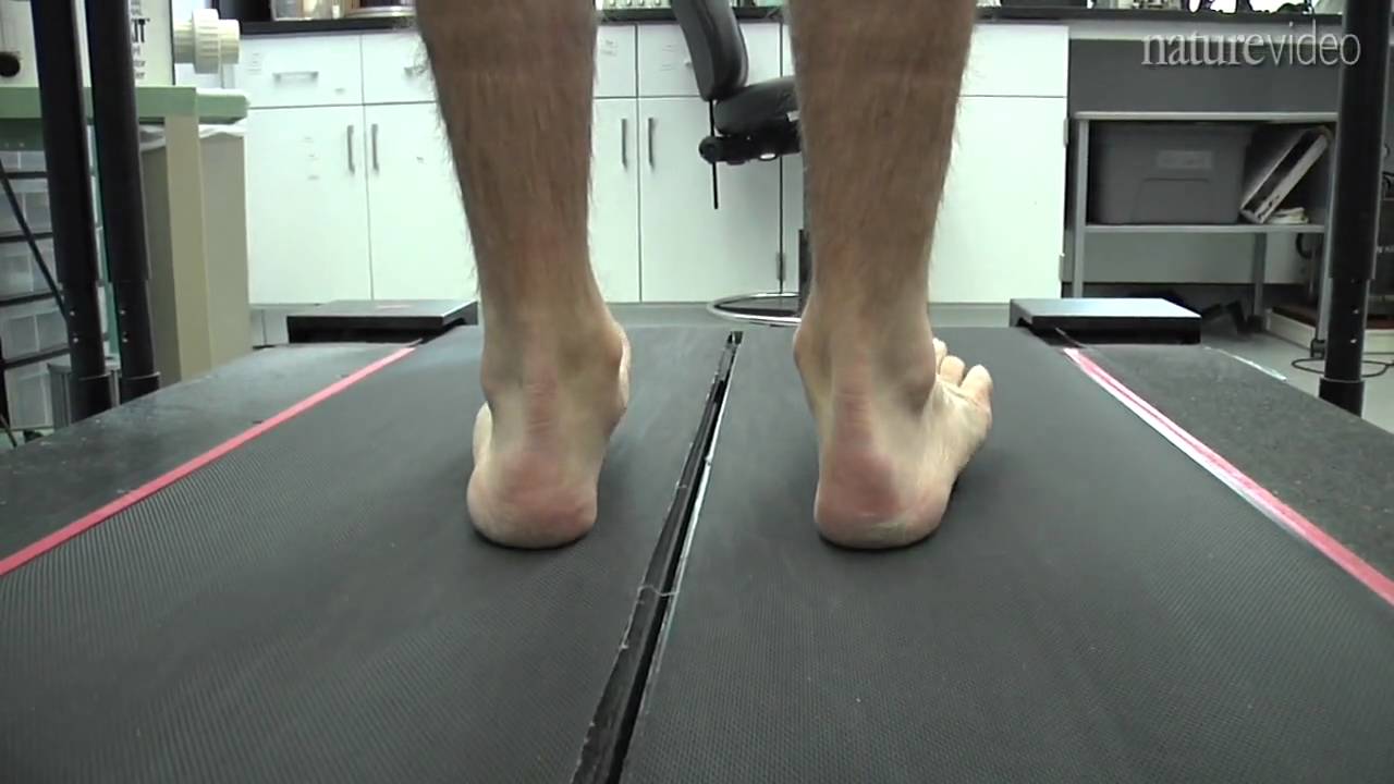 The Barefoot Professor - Forbidden Knowledge TV