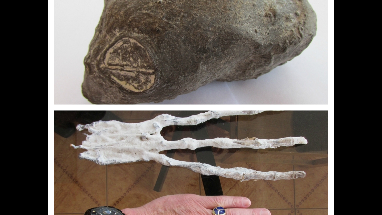 Two Strange Organic Artifacts Found in the Desert of Nazca, Peru ...