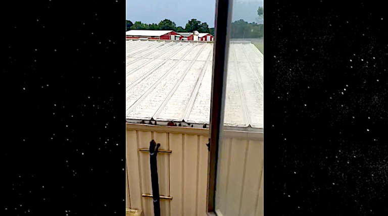 Frazzledrip is Real - Forbidden Knowledge TV